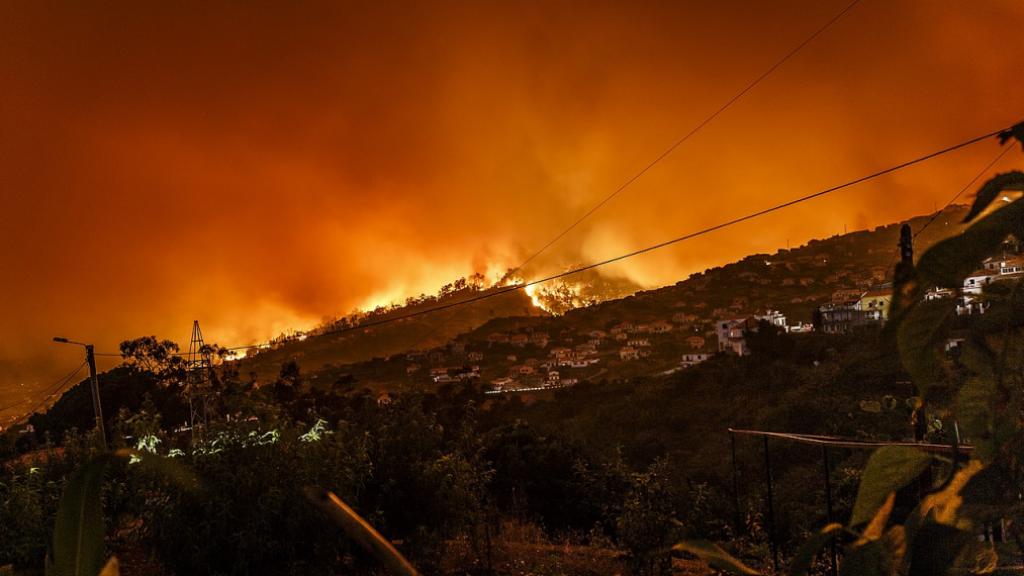 250 wildfires raging in Portugal - drought and heat waves in Southern ...